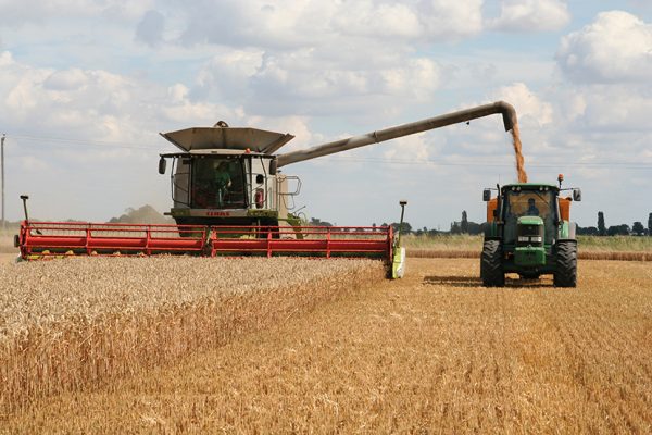 Forging a successful future for farming - East Anglia in Business